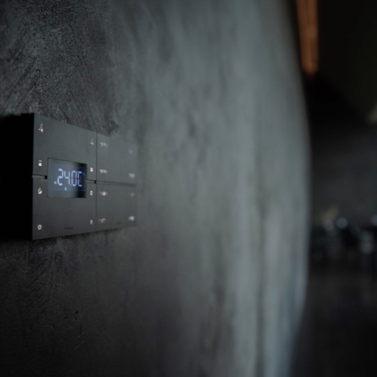 Swiss Series – Moorgen (Thailand)